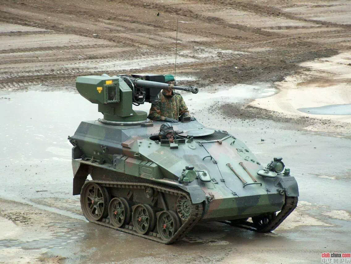 Wiesel - Allemagne - PDZ